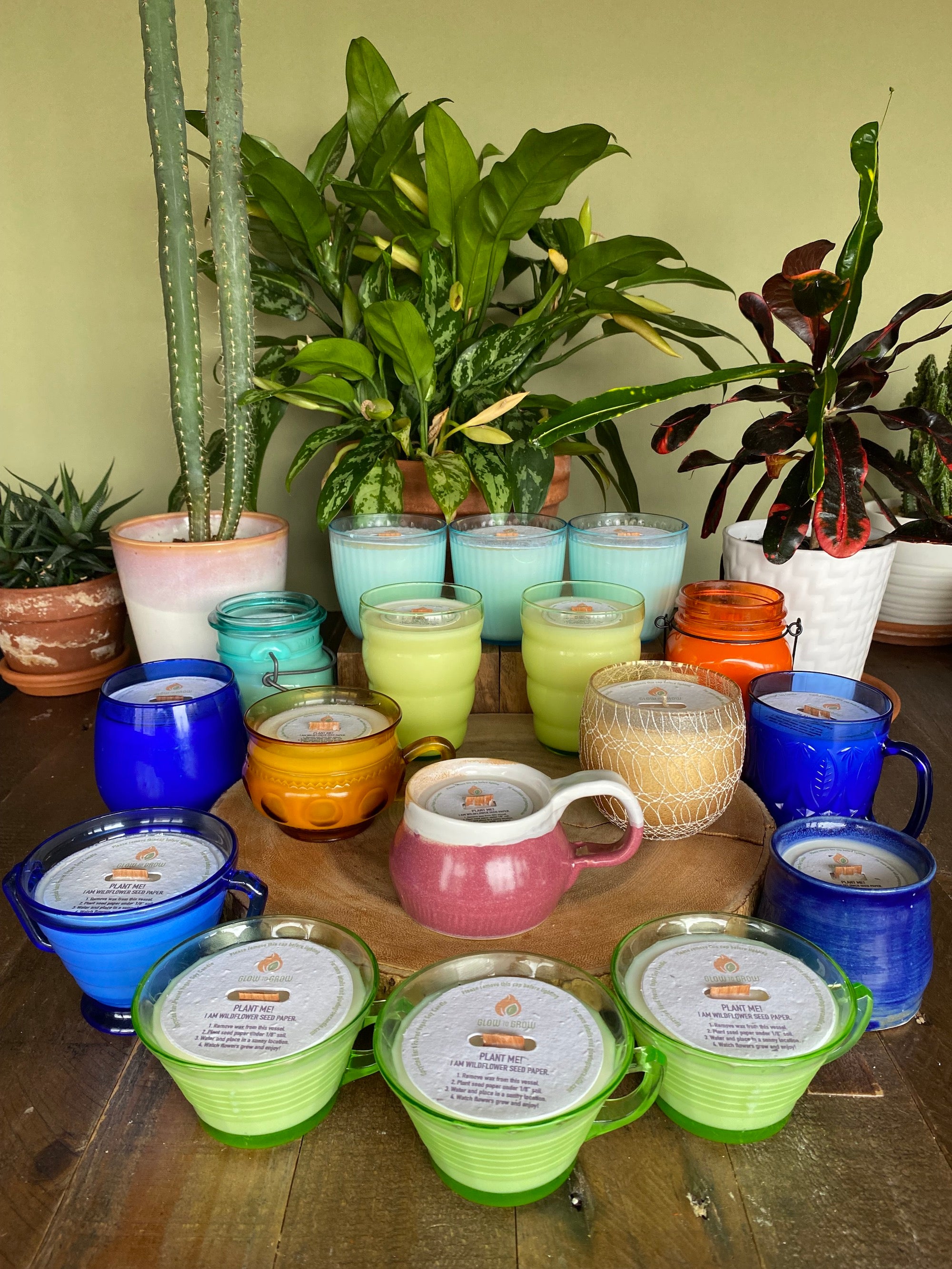 Seasonal Subscription – Glow To Grow